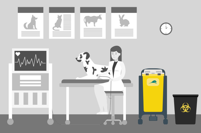 Everything You Need To Know About Biomedical Waste Disposal at ...