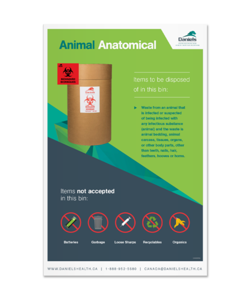Anatomical Waste Disposal in a Fibre Drum